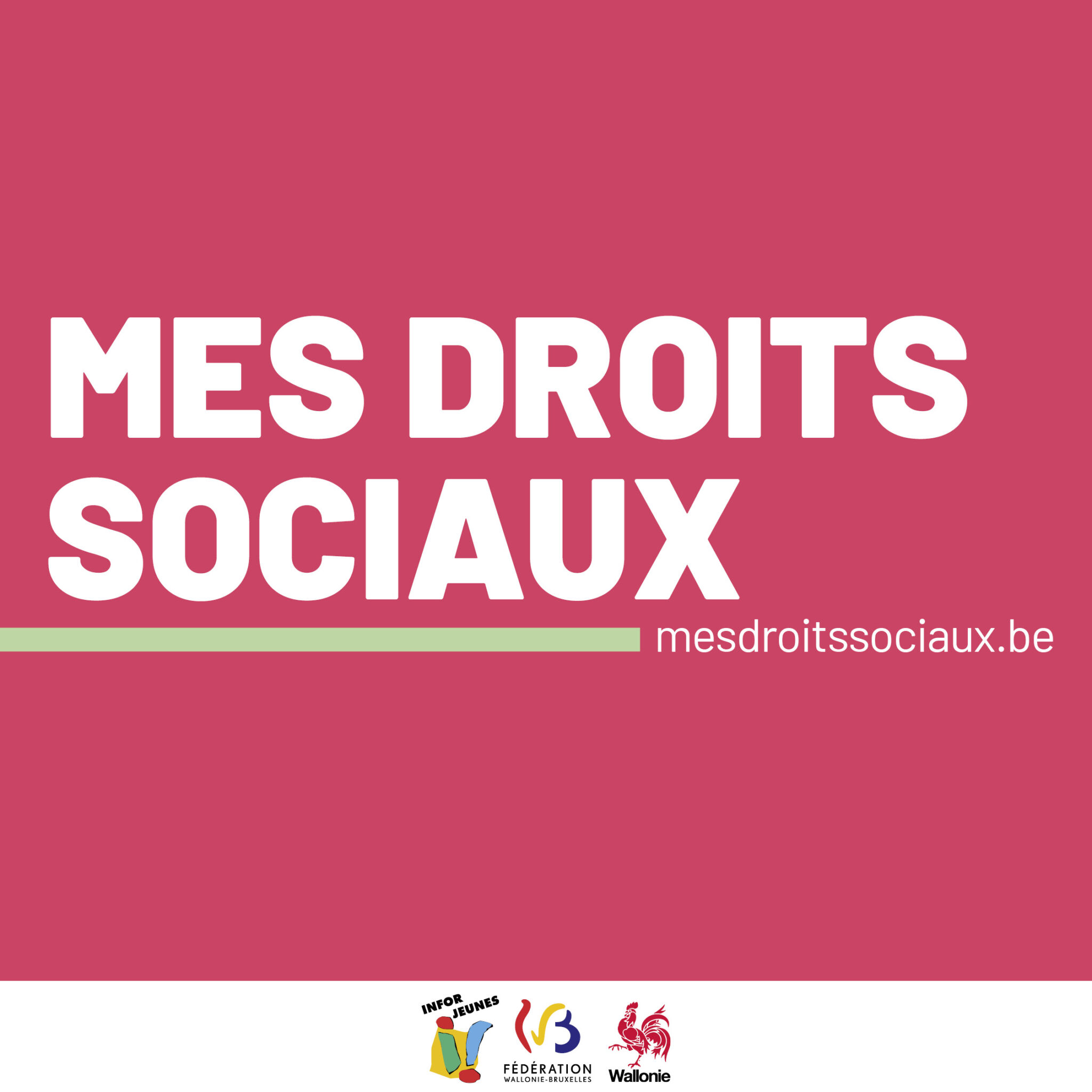 Mesdroitssociaux.be: le nouveau site dédié aux droits sociaux des ...